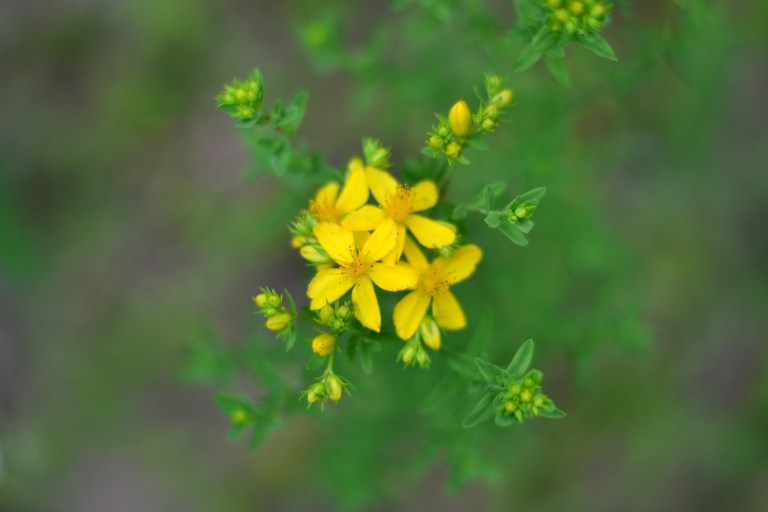 JR Miller quote and moments from my week | Good to be Home